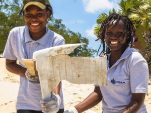 Blue Earth Capital — A global, independent, specialist impact ...
